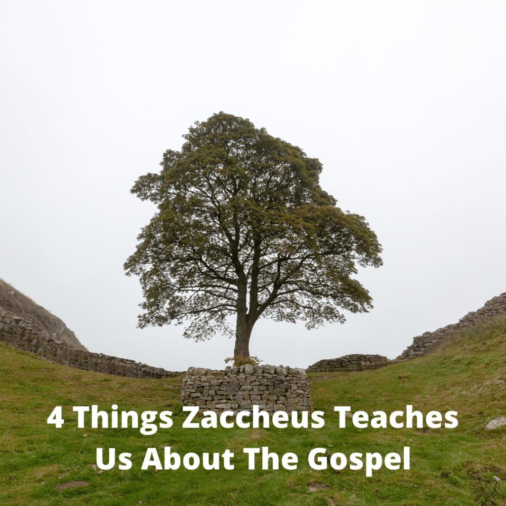 4 Things Zaccheus Teaches Us About The Gospel – The Way Of The Word