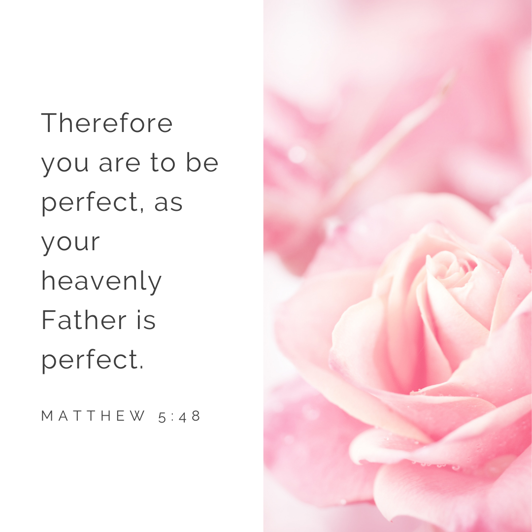 Perfection – The Way Of The Word