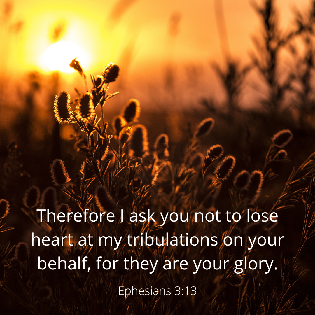 When Life Squeezes You – The Way Of The Word