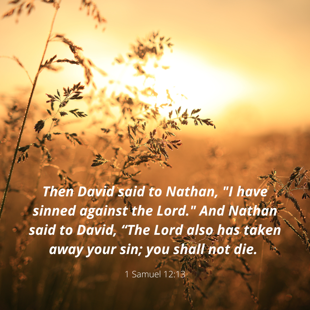 Which Story Will Be Told? – The Way Of The Word
