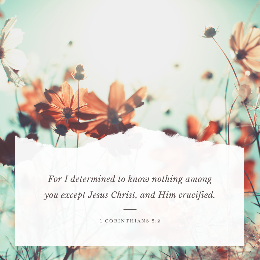 Has Christ Been Divided? – The Way Of The Word