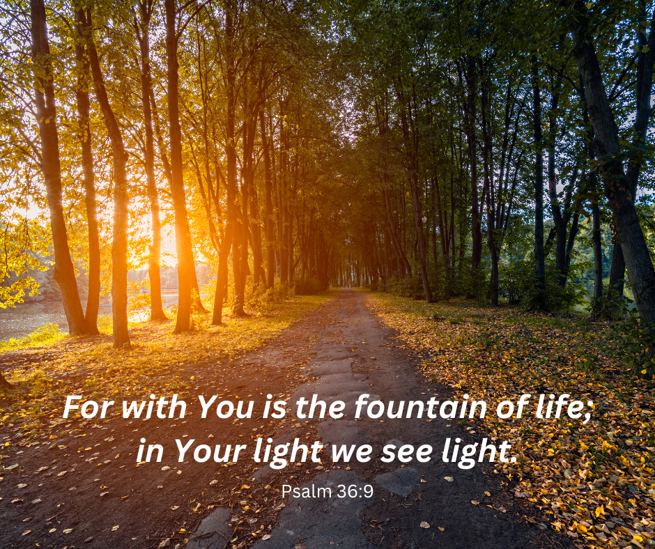 The Flattery Of Our Hearts – The Way Of The Word